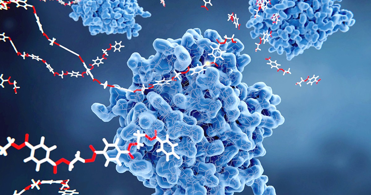 About Dutch Biocatalysis Symposium 2025: BiocatNL-2025 - NBV